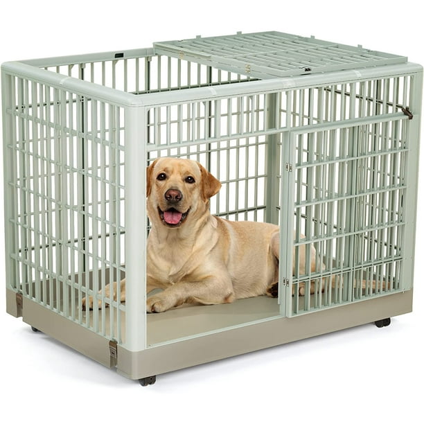Dextrus 38" Dog Crate Kennel Cage for Medium Large Dogs Indoor Outdoor ...