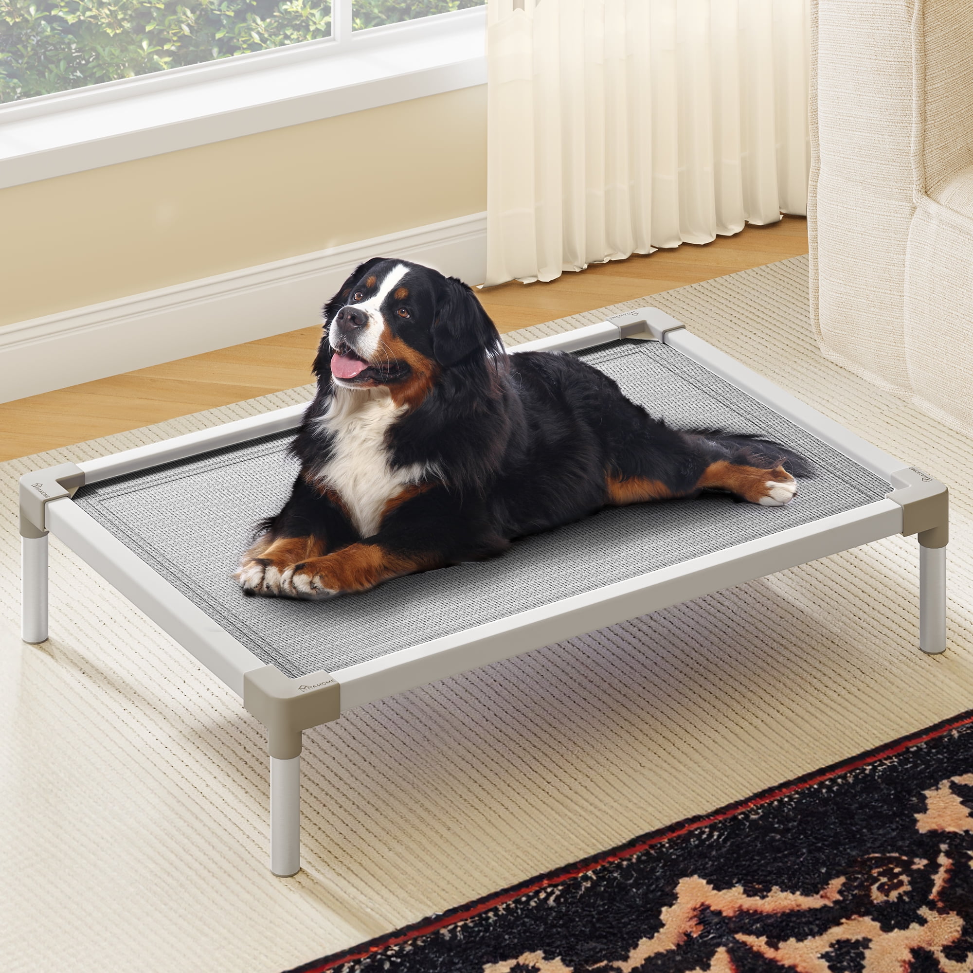 Dextrus 42" Elevated Dog Bed, Chew Proof Dog Cot with Washable ...