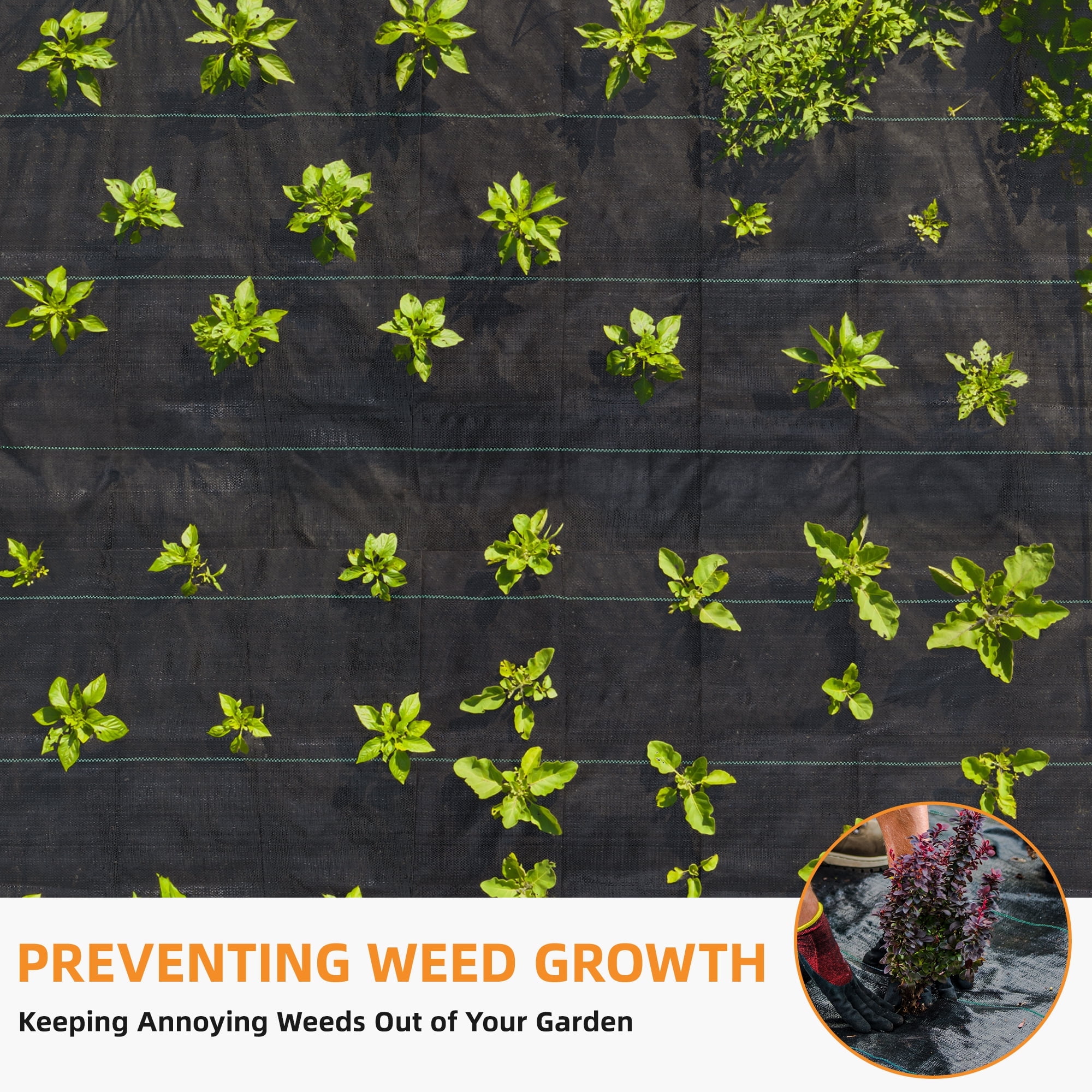 Dextrus 5X250FT Weed Control Garden Landscape Cloth Durable Gardening ...