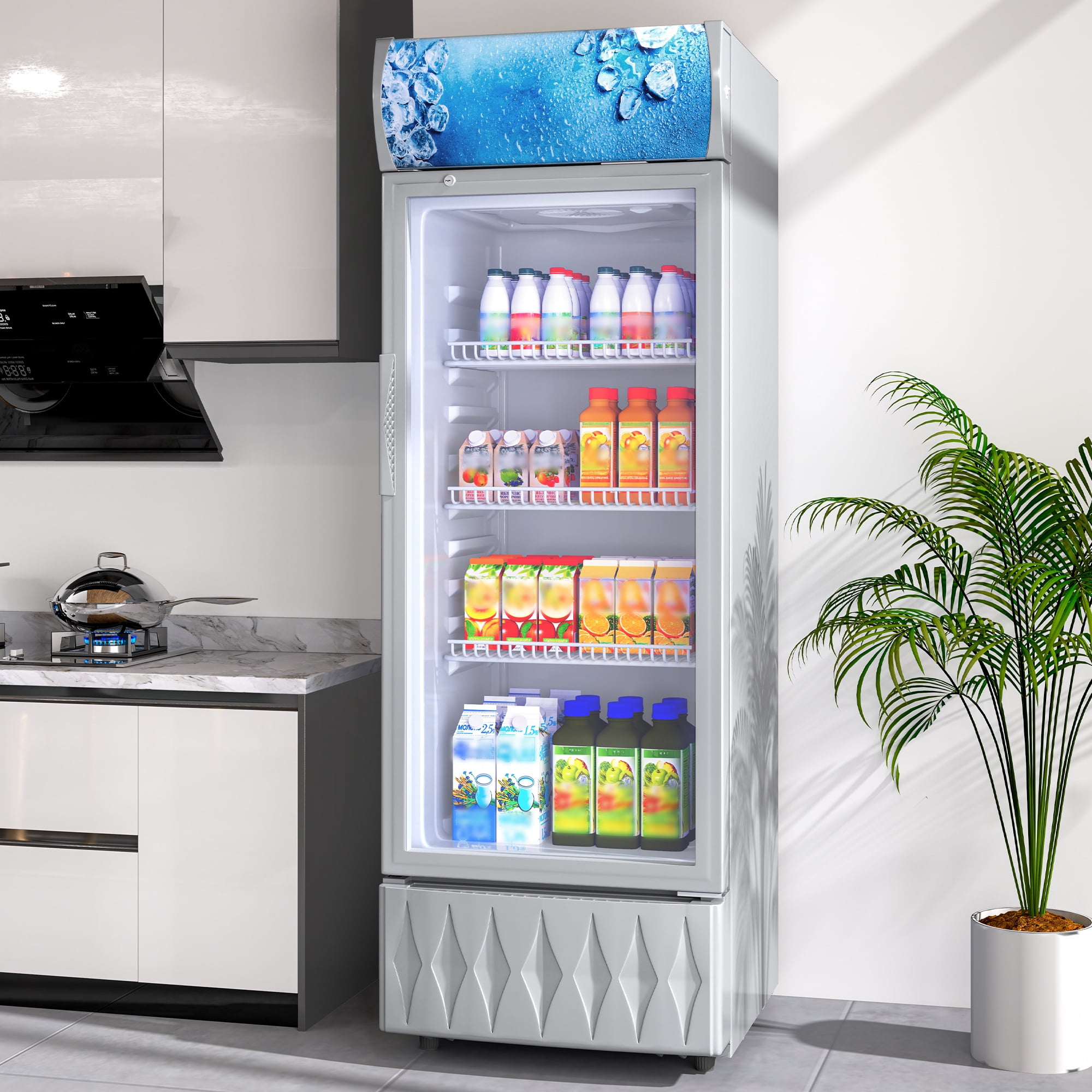 Dextrus 6.9 Cu.Ft. Commercial Beverage Display Refrigerator, Glass Door ...