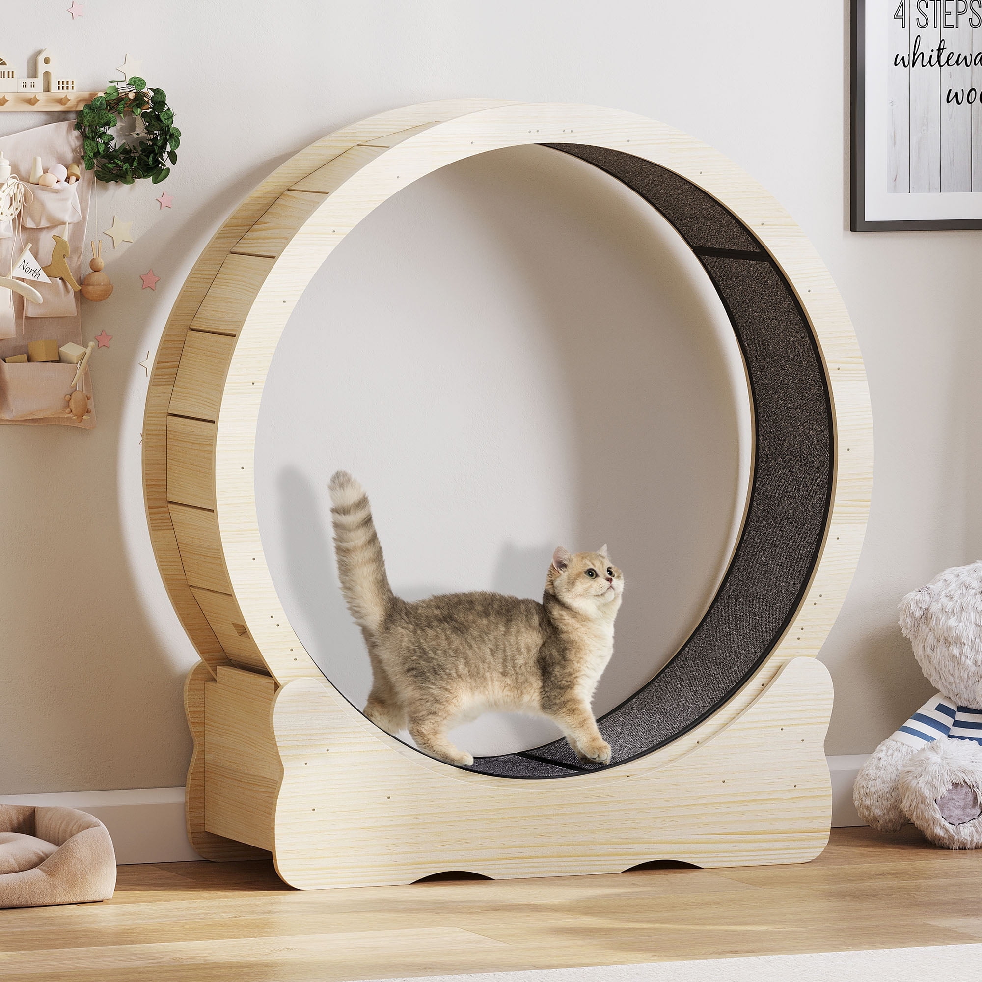 Dextrus Cat Wheel Exerciser for Indoor Cats, 43.3 inch Large Cat ...