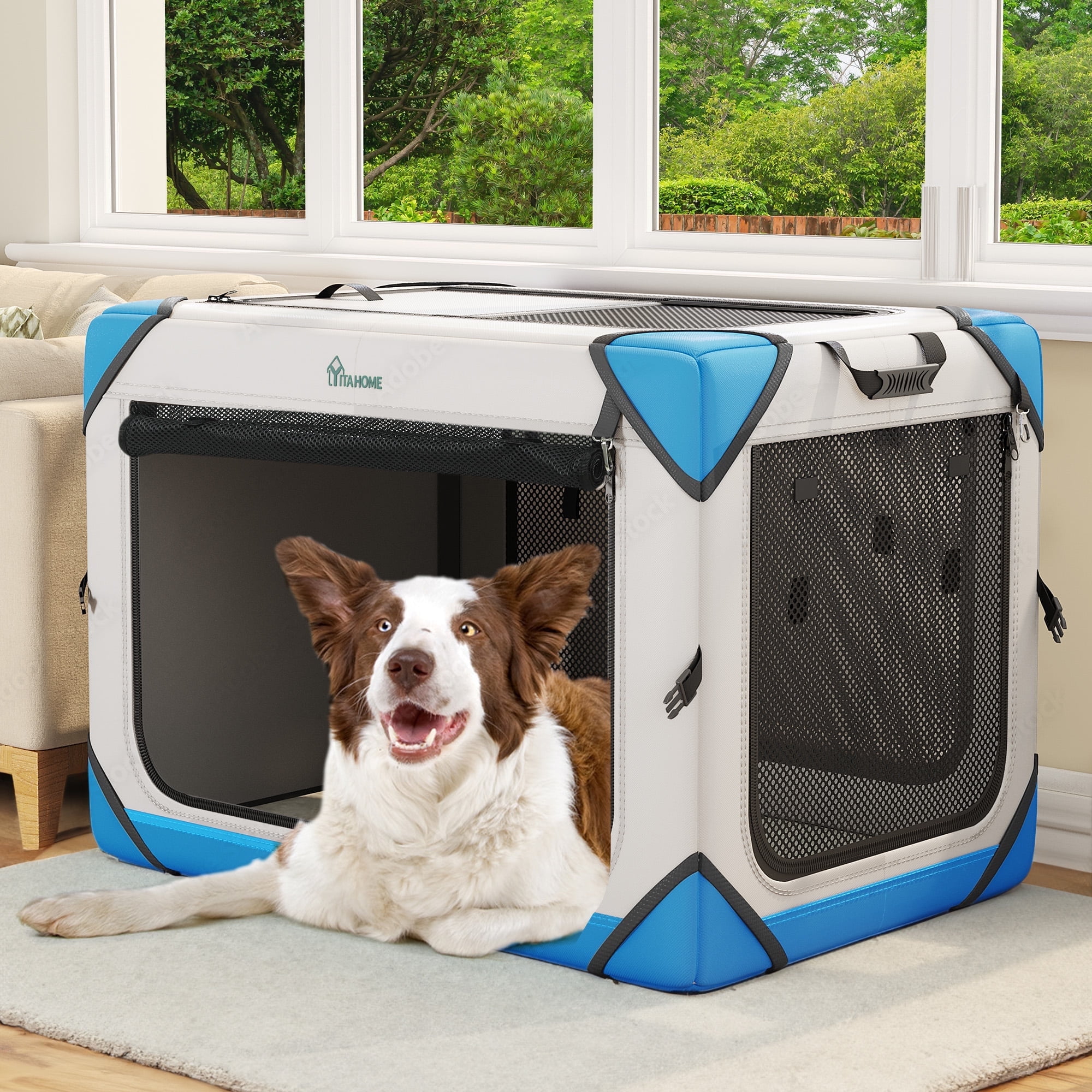 Dextrus Collapsible Dog Crate with 4 Doors, Portable Travel Dog Crates ...