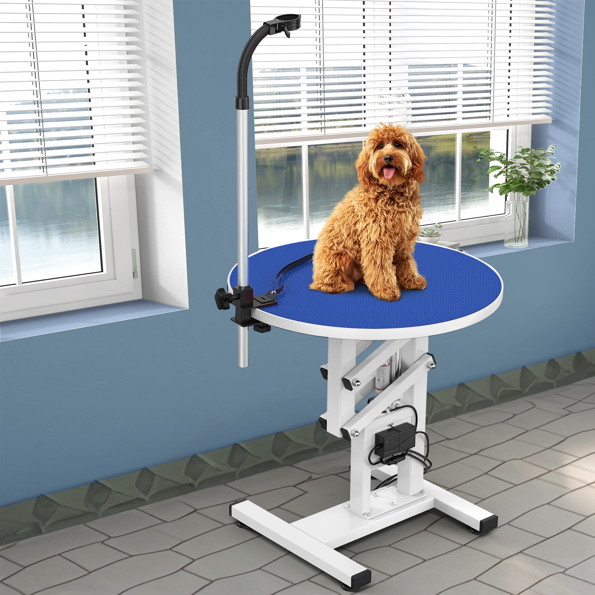 Dextrus Electric Lift Dog Grooming Table 24" Rotating Desktop Pet ...