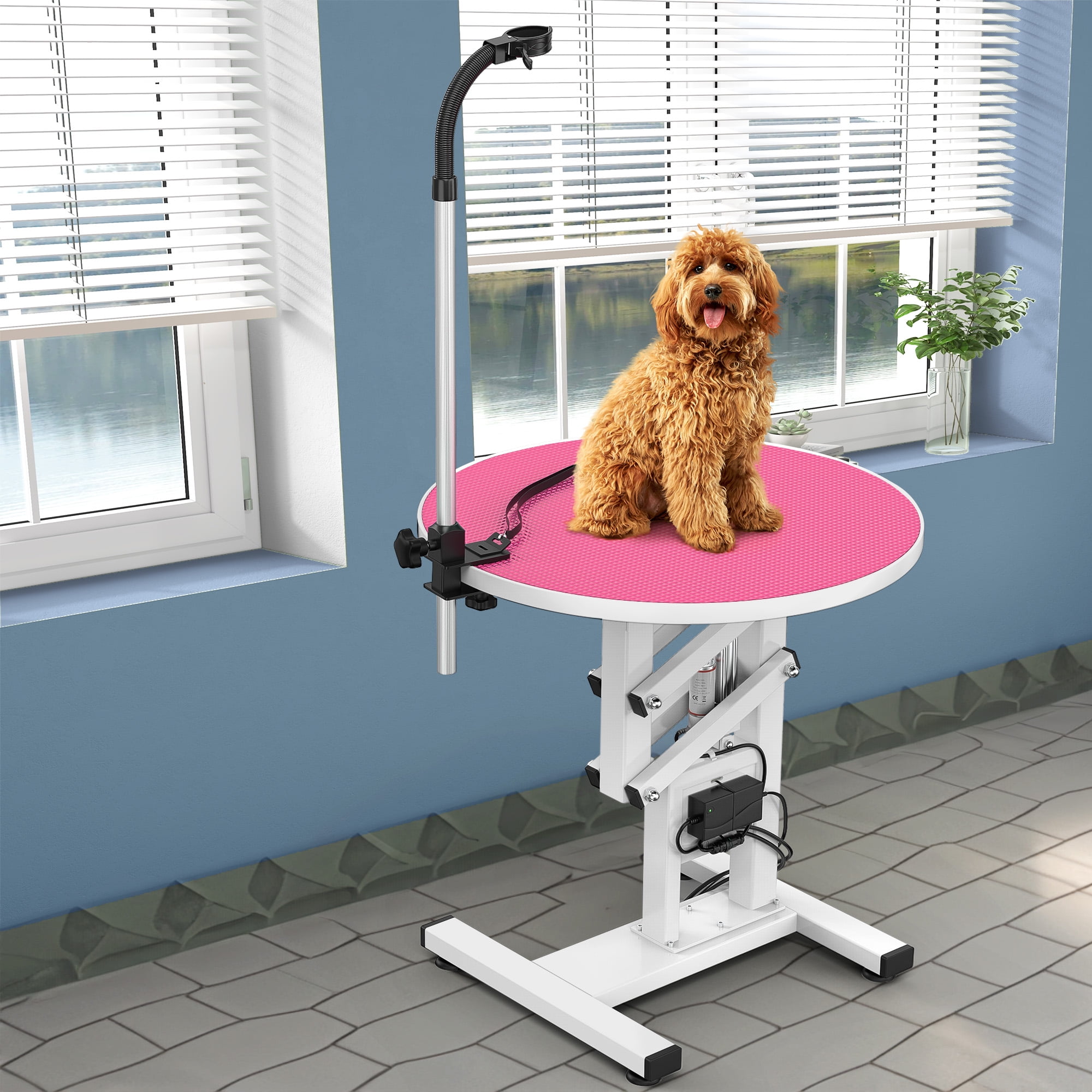 Dextrus Electric Lift Dog Grooming Table 24" Rotating Desktop Pet ...