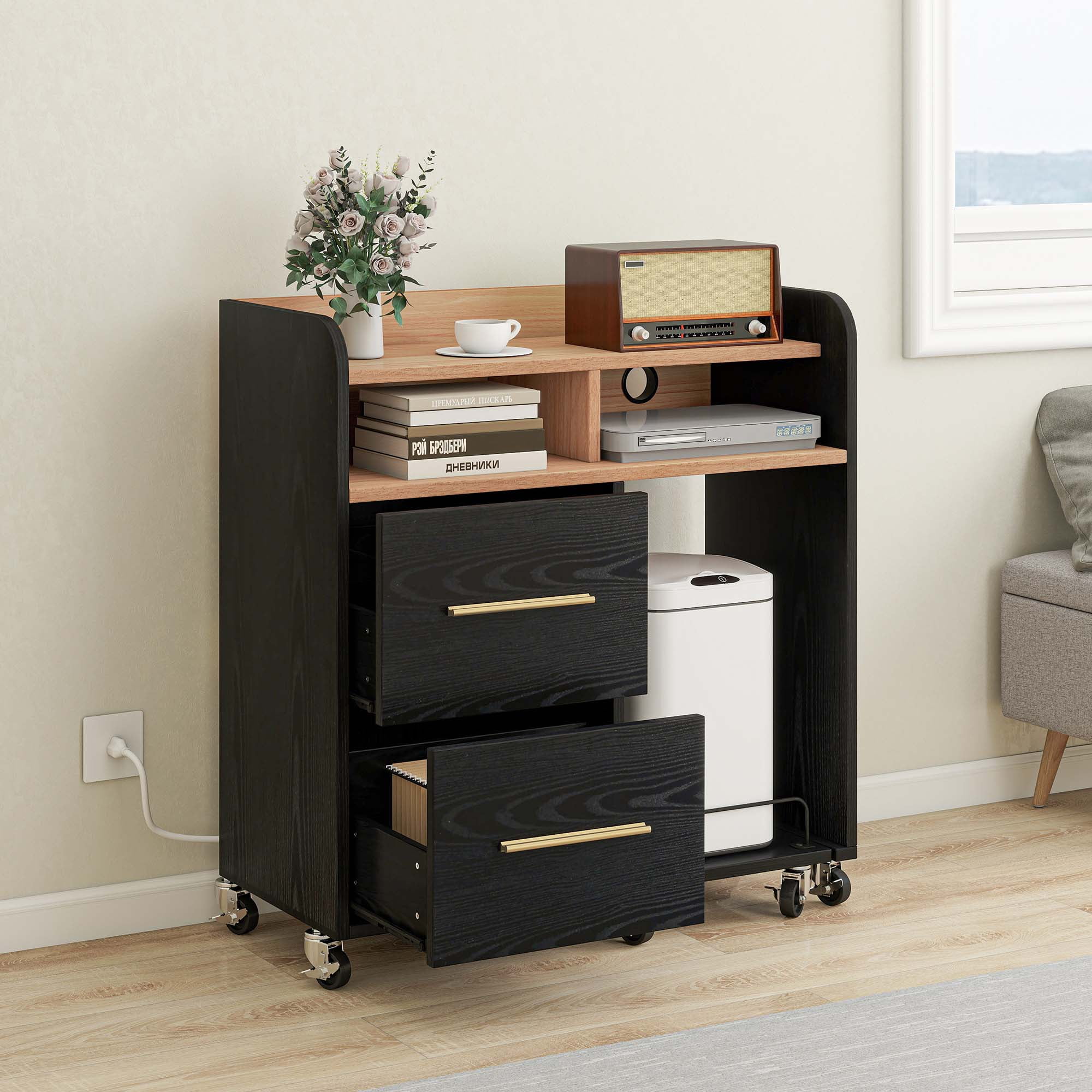 Dextrus File Cabinet with Charging Station and Paper Shredder Stand ...