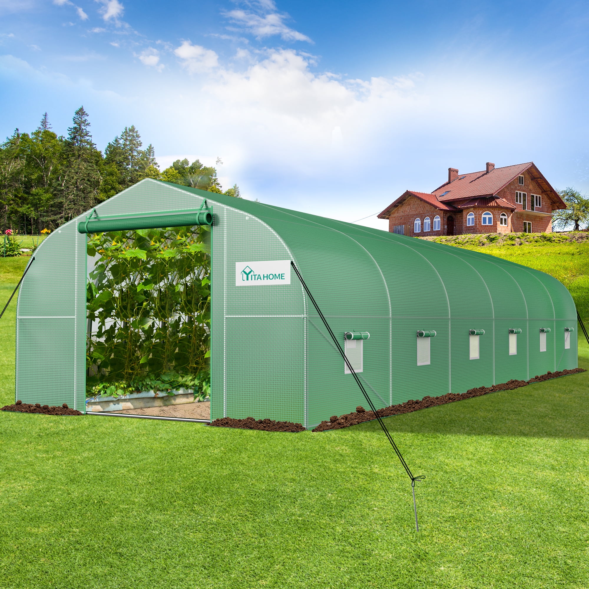 Dextrus Heavy Duty Outdoor Greenhouse Walk-in Tunnel with Portable ...