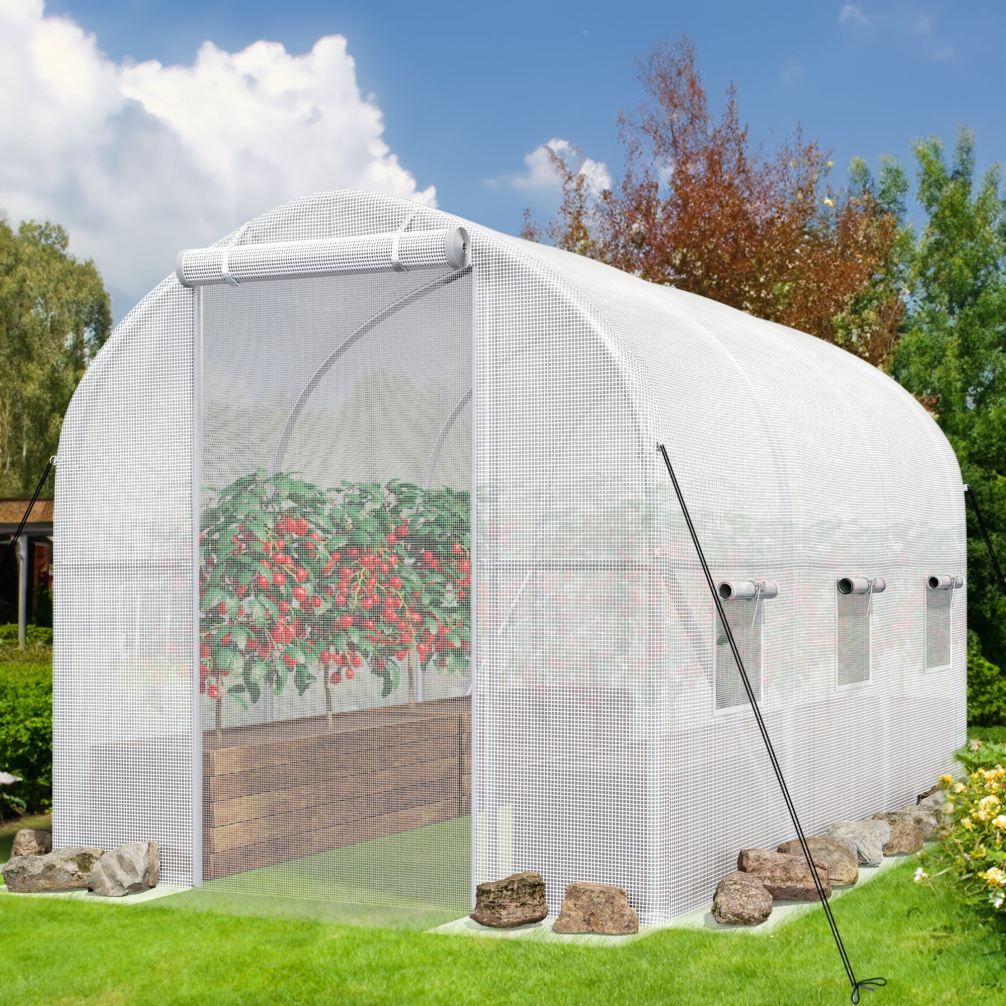 Dextrus Large Walk-in Greenhouse for Plant Gardening with Sturdy Frame ...