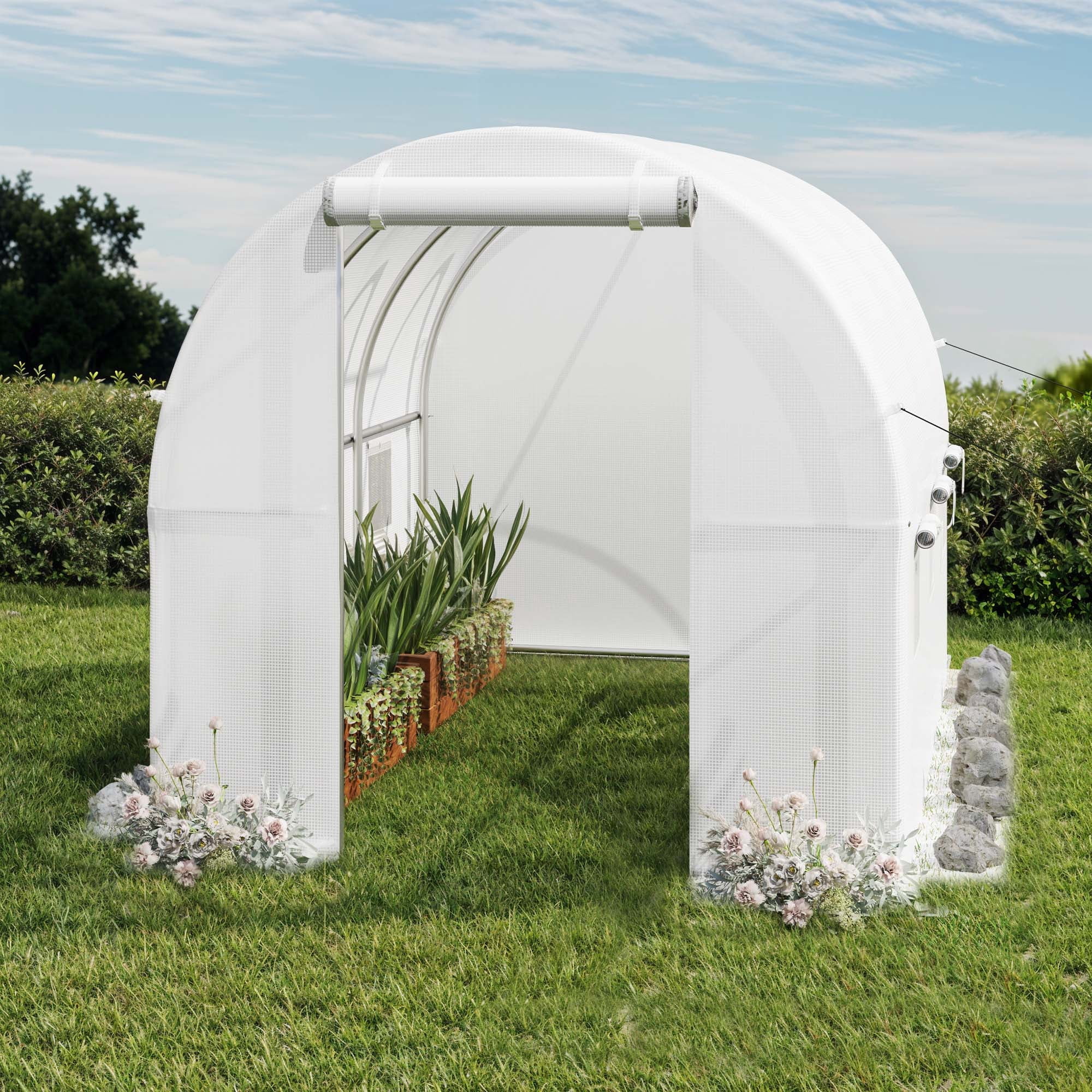 Dextrus 10x6.6ft Large Walk-in Greenhouse with Sturdy Frame and Doors ...