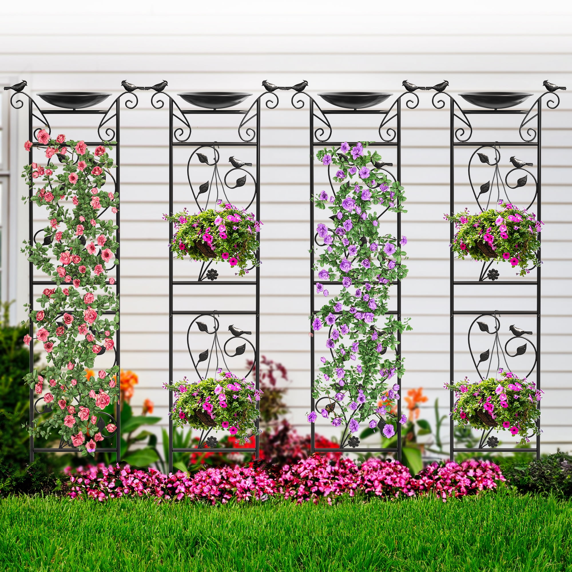 Dextrus 4 Pack Black Metal Trellis with Bird Bath, Ideal for Climbing ...