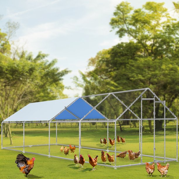 Dextrus Outdoor Large Metal Chicken Coop, Walk-in Poultry Cage Chicken ...