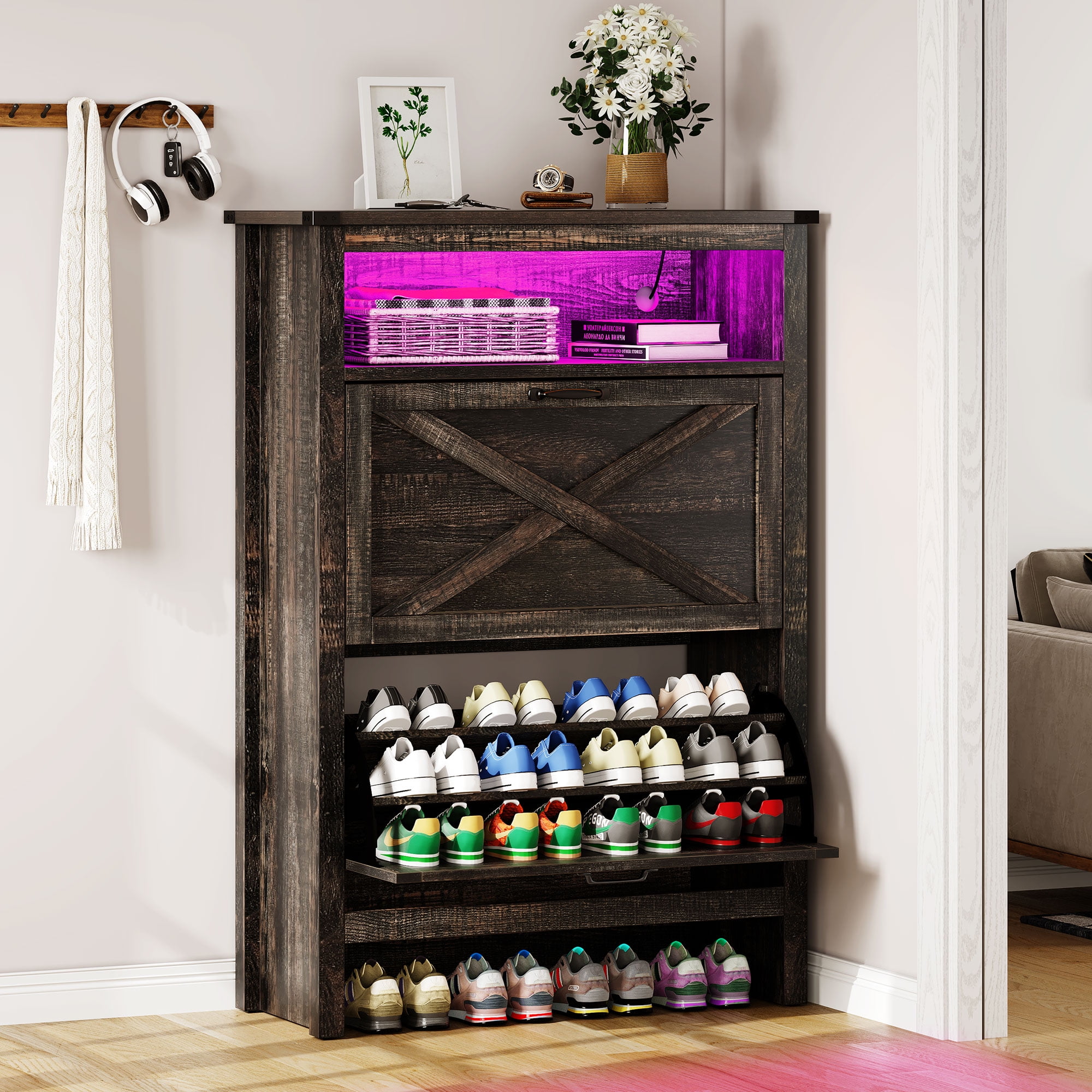 Dextrus Shoe Cabinet with 2 Flip Drawers &Open Shelf &Led Light , Shoe ...