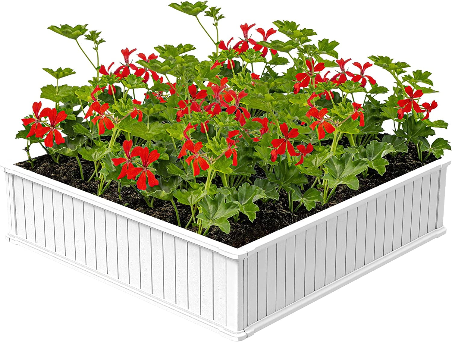 Dextrus Raised Garden Bed 4x4x1ft, Outdoor Plant Box for Vegetables ...