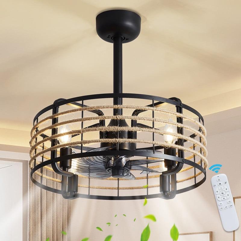 Deyidn Caged Ceiling Fan with Light, Black Ceiling Fan Remote Control ...