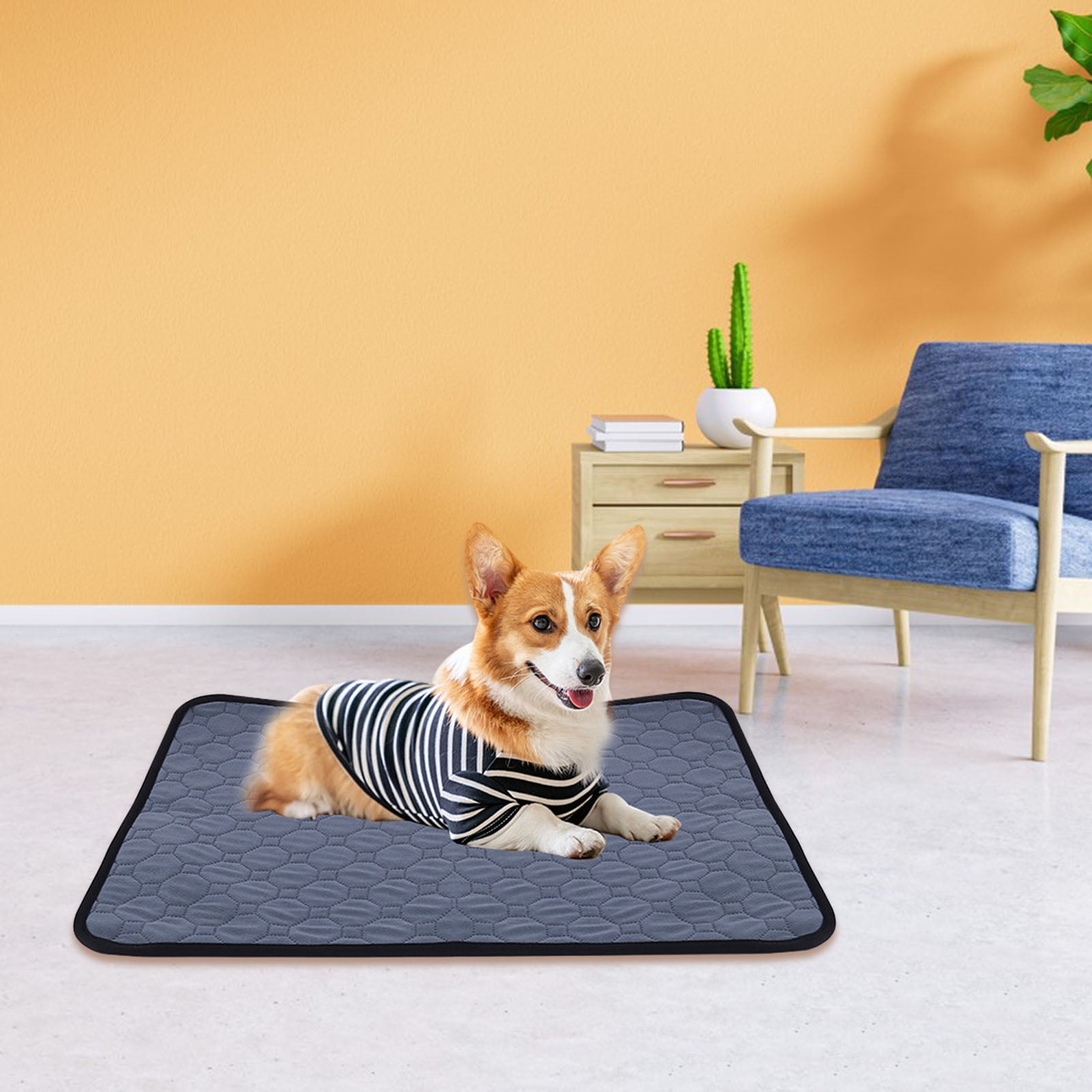 Deyuer Pet Pee Pad Machine Washable Water Absorbent Anti-slip Leakproof ...