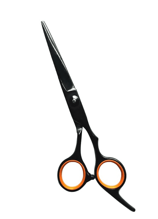 Dhanishka Professional Razor Edge Barber Hair Cutting Scissors ...
