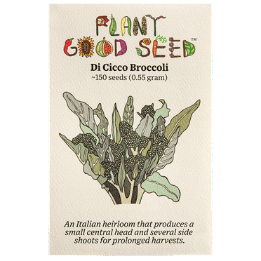 Antares F1 Fennel Seeds - Walmart.com