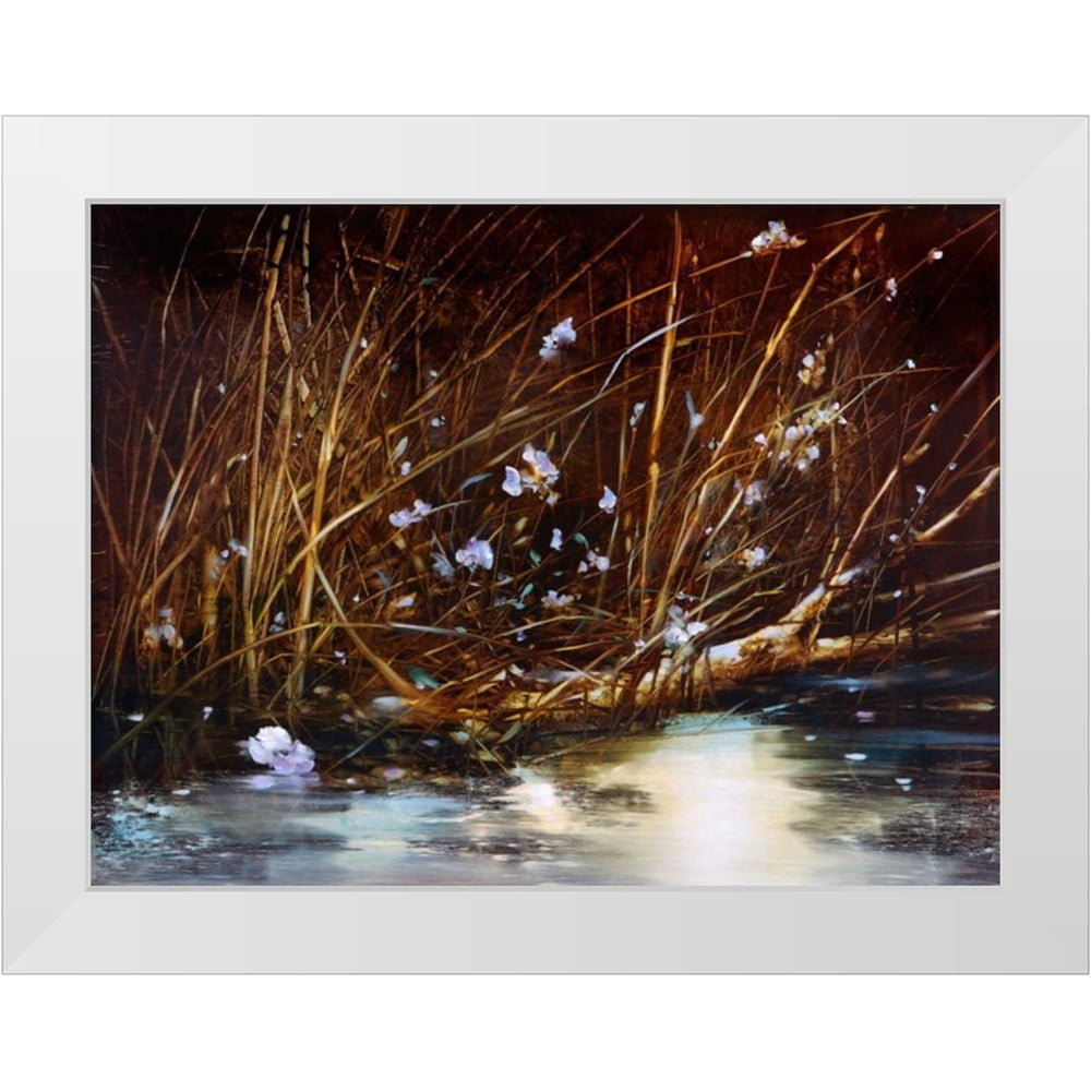 DiScenza, Ron 14x12 White Modern Wood Framed Museum Art Print Titled ...
