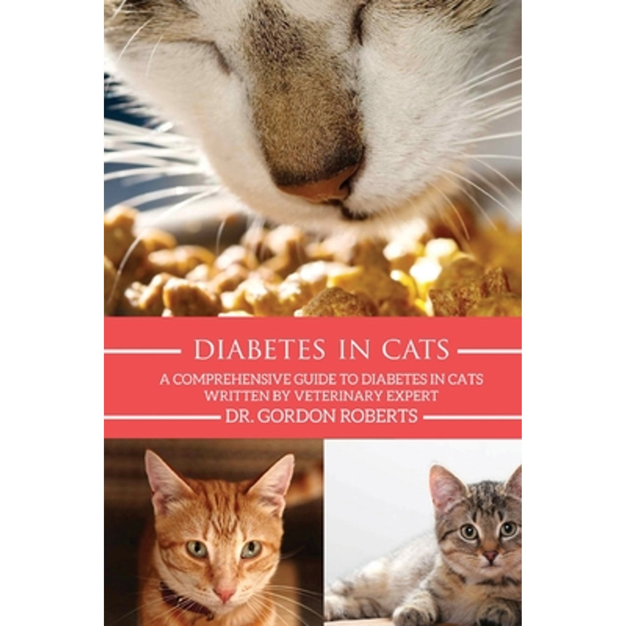 Pre-Owned Diabetes in Cats: A Comprehensive Guide to Diabetes in Cats ...