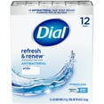 Dial Moisturizing Antibacterial Bar Soap, Refresh & Renew, White, 4 oz ...