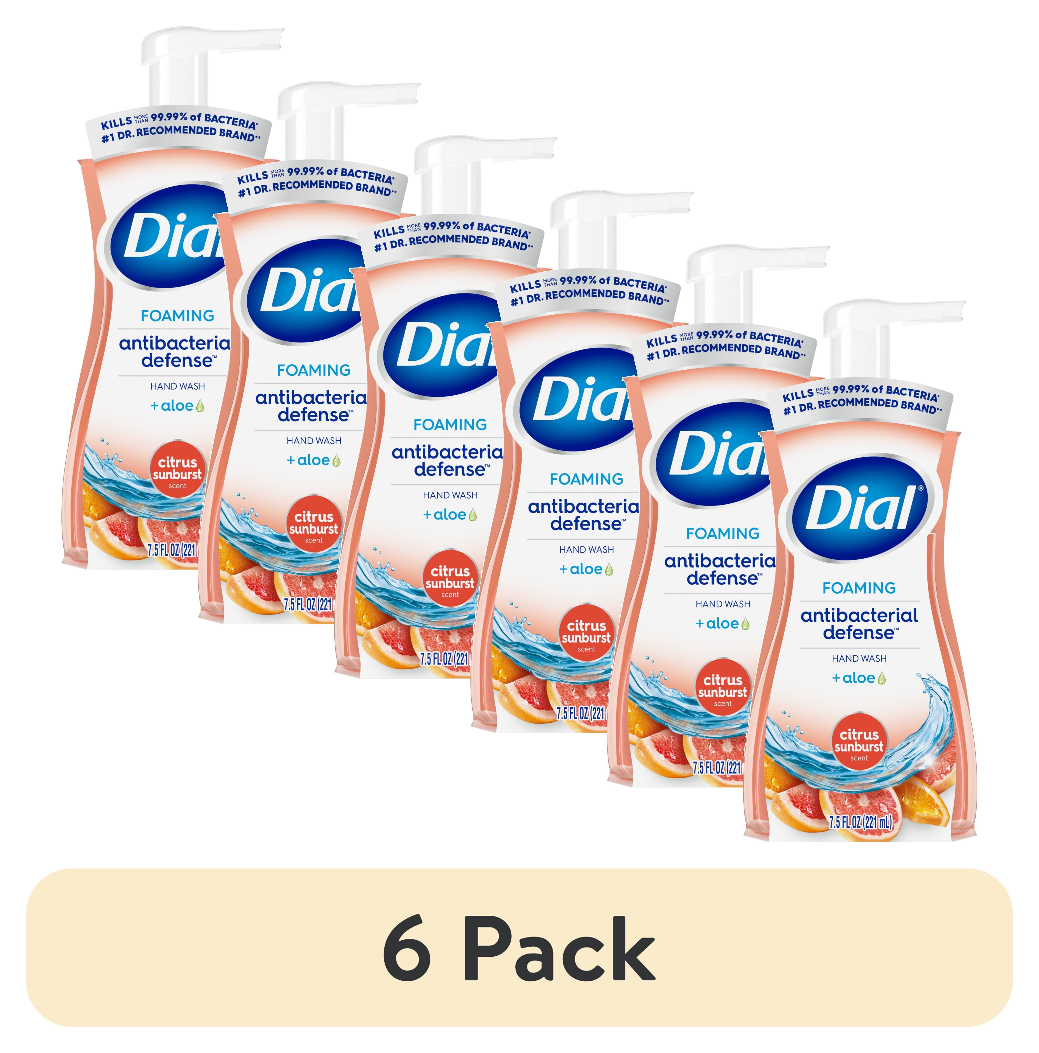 (6 pack) Dial Antibacterial Foaming Hand Wash, Citrus Sunburst, 7.5 fl ...