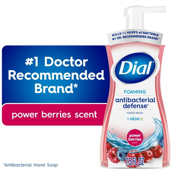 (6 pack) Dial Antibacterial Defense Soothing White Tea Scent Foaming ...