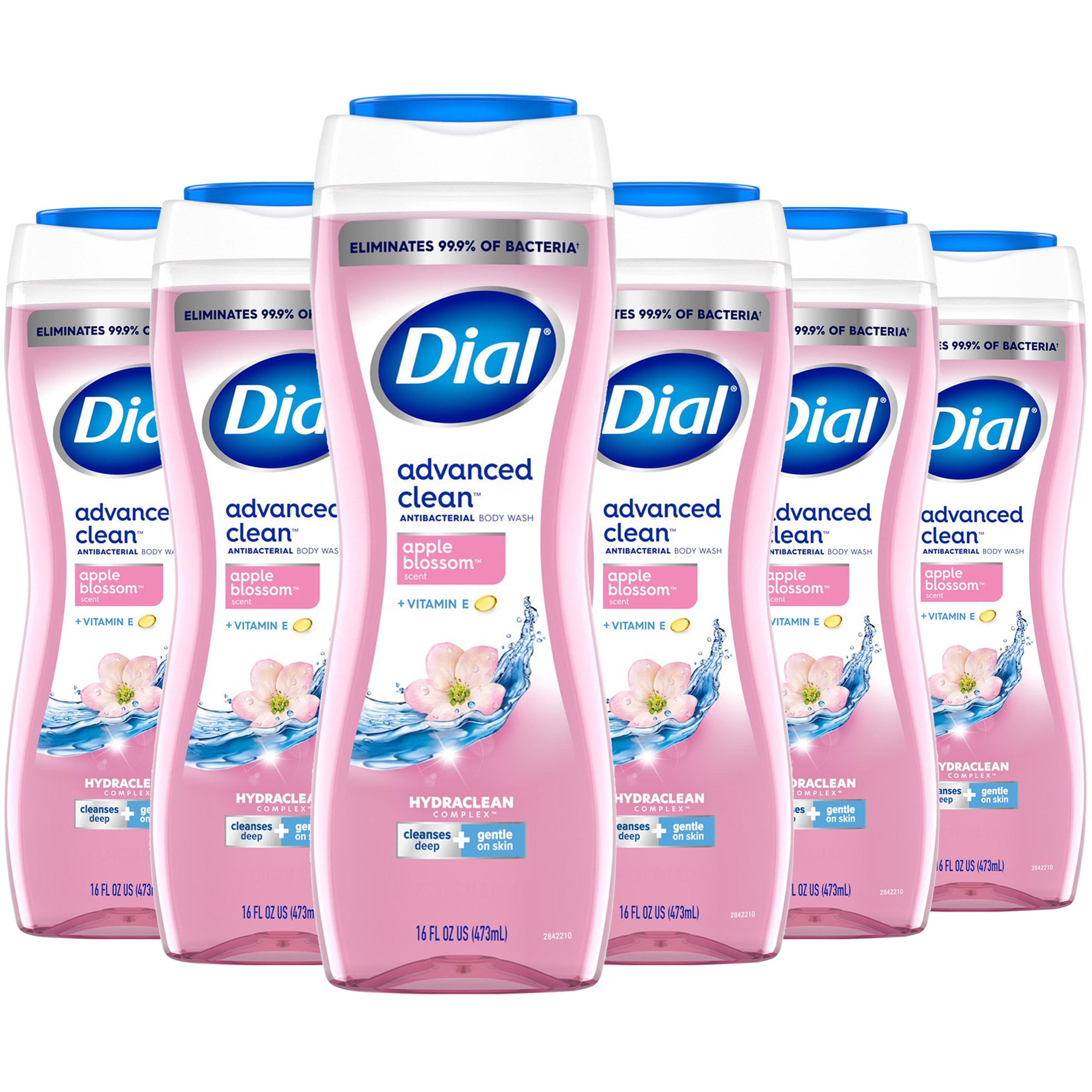 Dial Body Wash, 6 AKF18 Pack, Apple Blossom Scent, Hydrating and ...