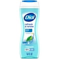 Dial Healthy Skin Liquid Shower Gel, Refresh & Renew Spring Water Bath ...