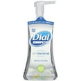 Dial Complete Foaming Hand Wash Soothing White Tea 7.50 oz (Pack of 4 ...