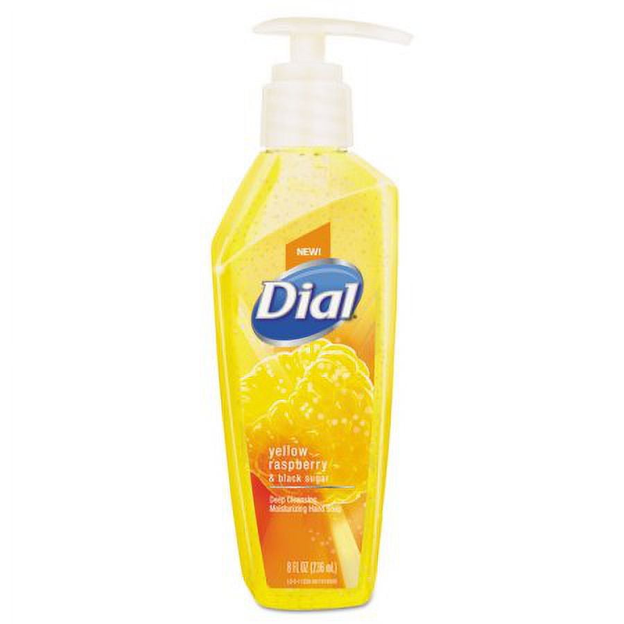 Dial Deep Cleansing Liquid Hand Soap, 8Oz Pump Bottle,Yellow Raspberry ...