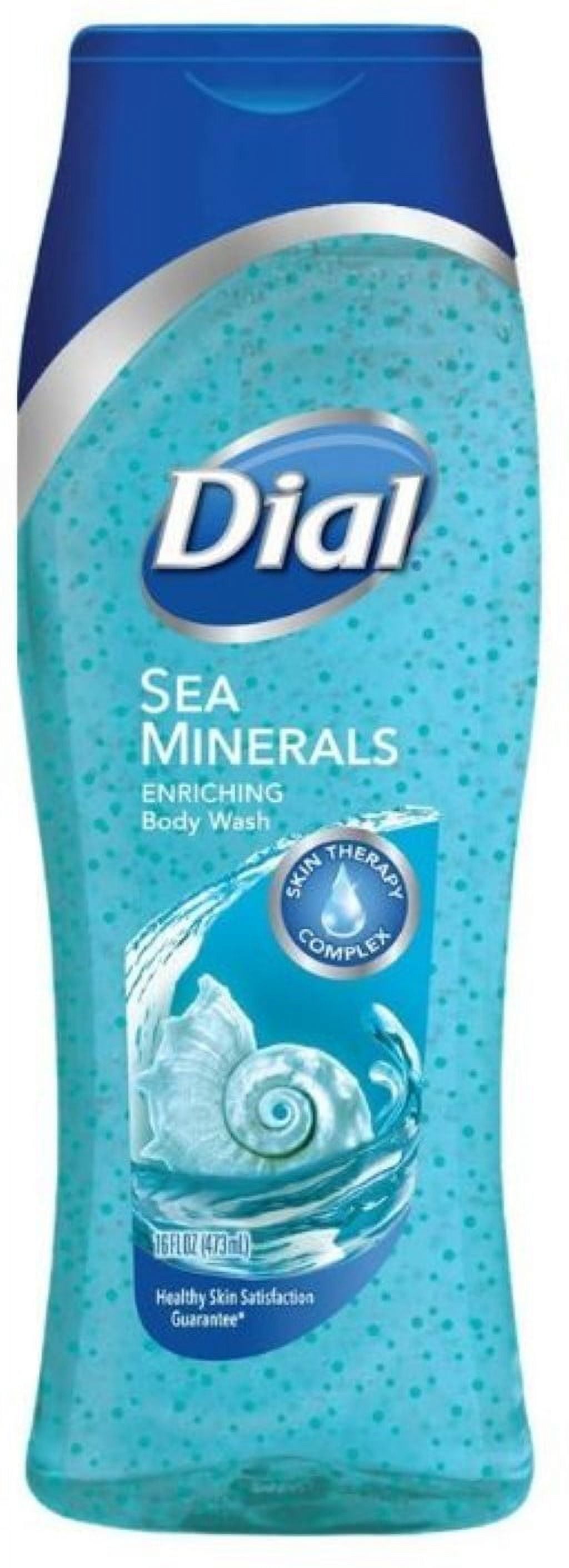 Dial Skin Therapy Enriching Body Wash, Sea Minerals 16 oz (Pack of 2 ...