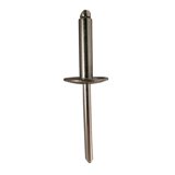 Diameter X 1/4 Stainless Rivet with Stainless Mandrel, Large Head, .188 ...