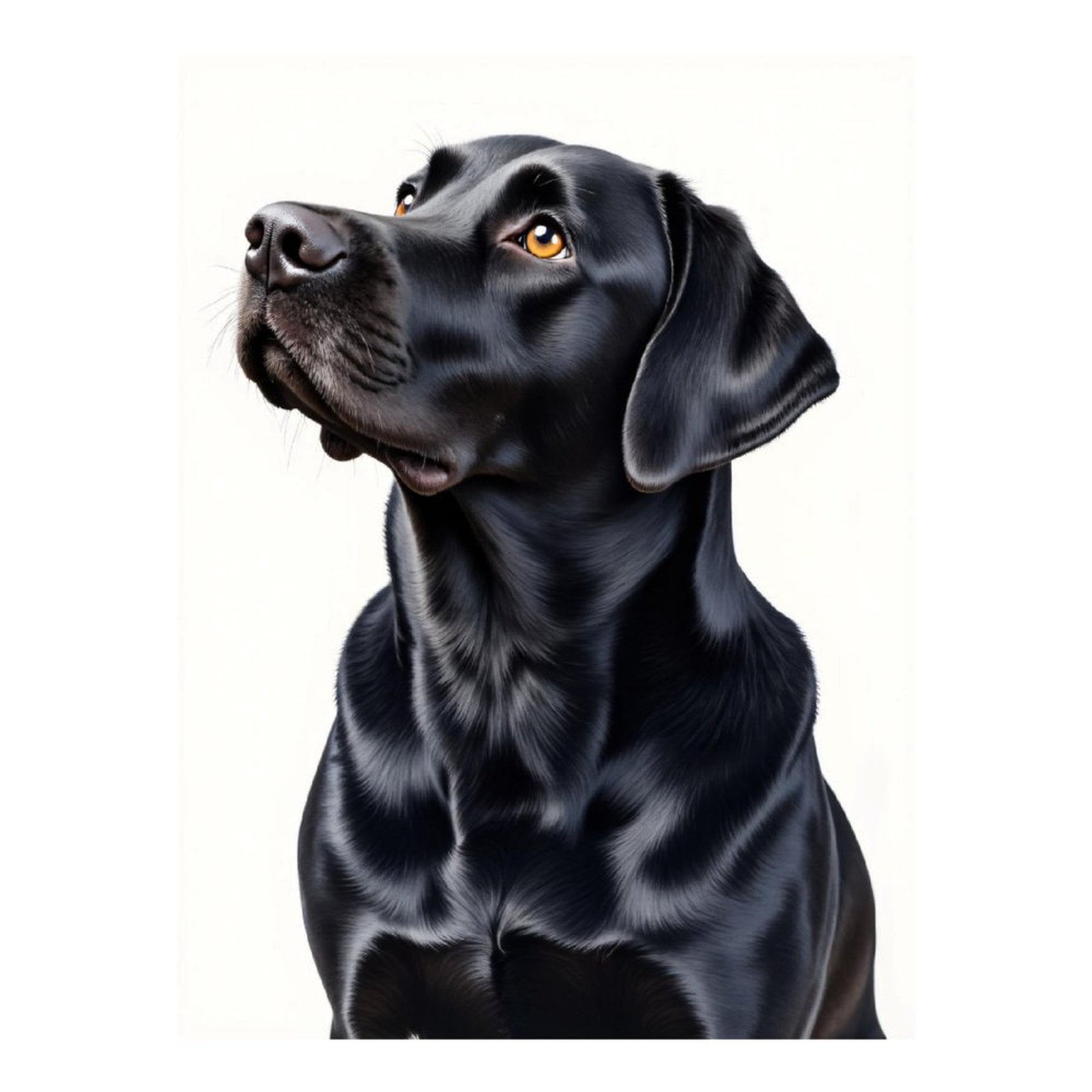 Diamond Art Kit for Adults, Black Labrador Portrait Art Diamond ...