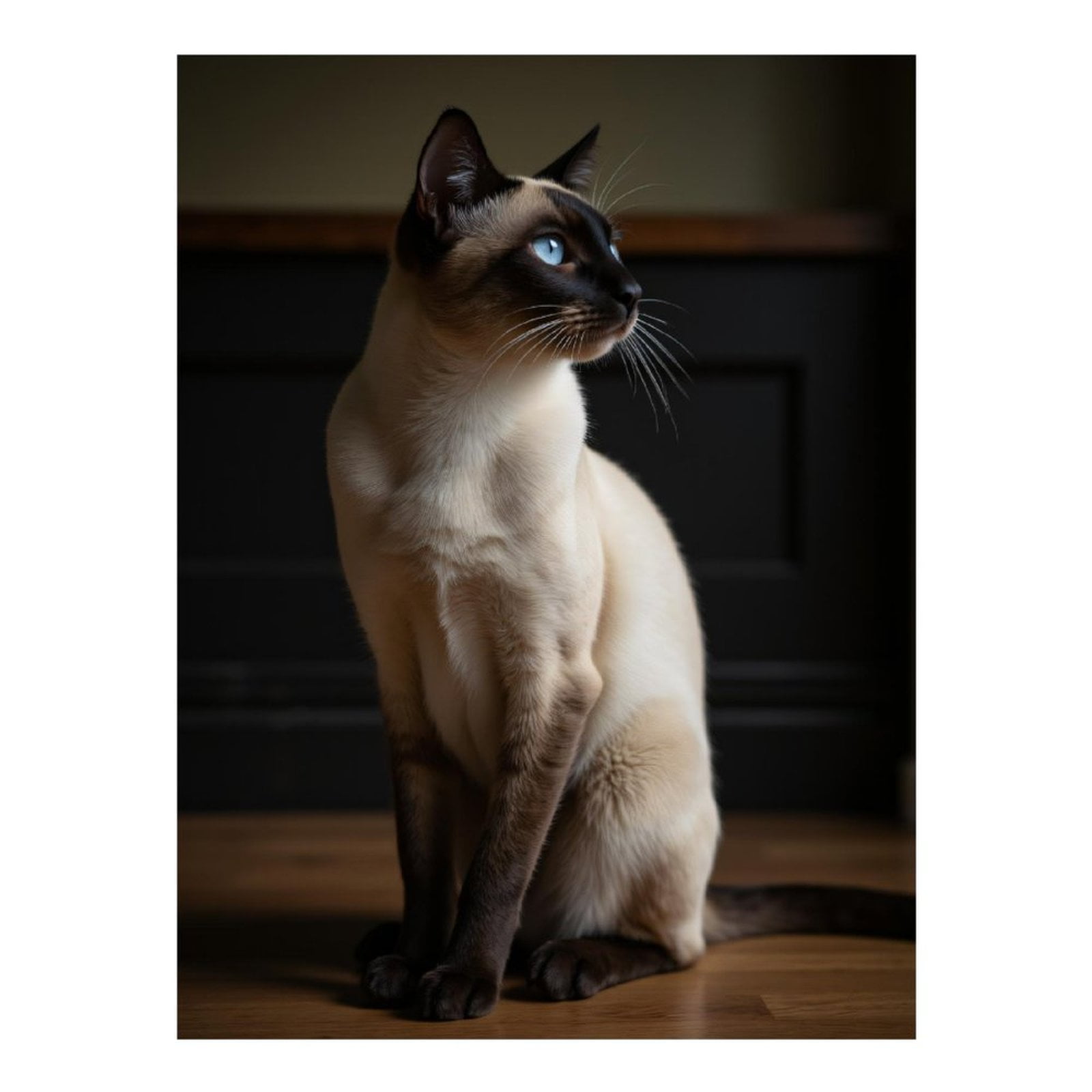 Diamond Art Kit for Adults, Elegant Siamese Cat Indoor Portrait Diamond ...