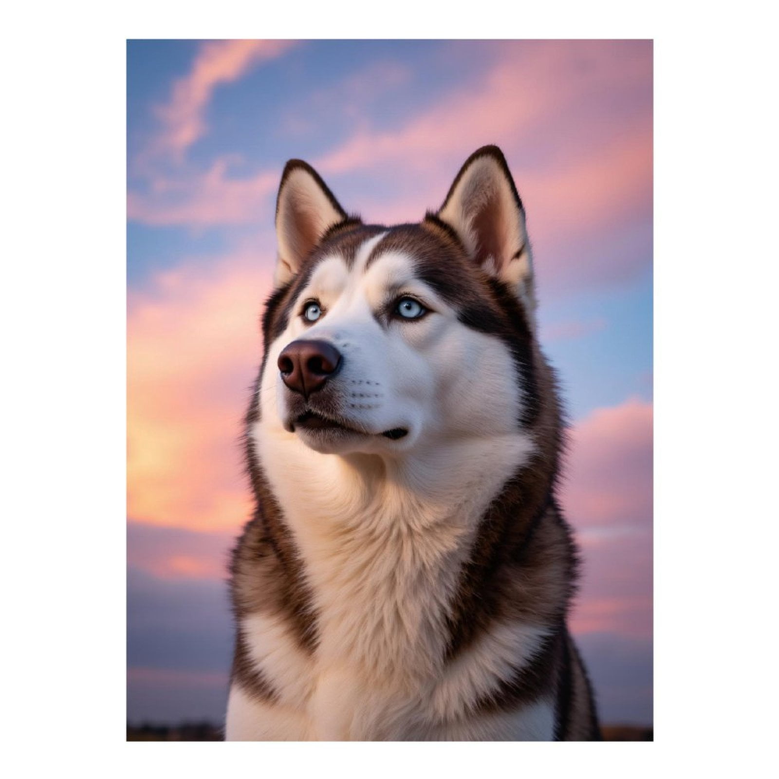 Diamond Art Kit for Adults, Majestic Husky At Sunset Sky Diamond ...
