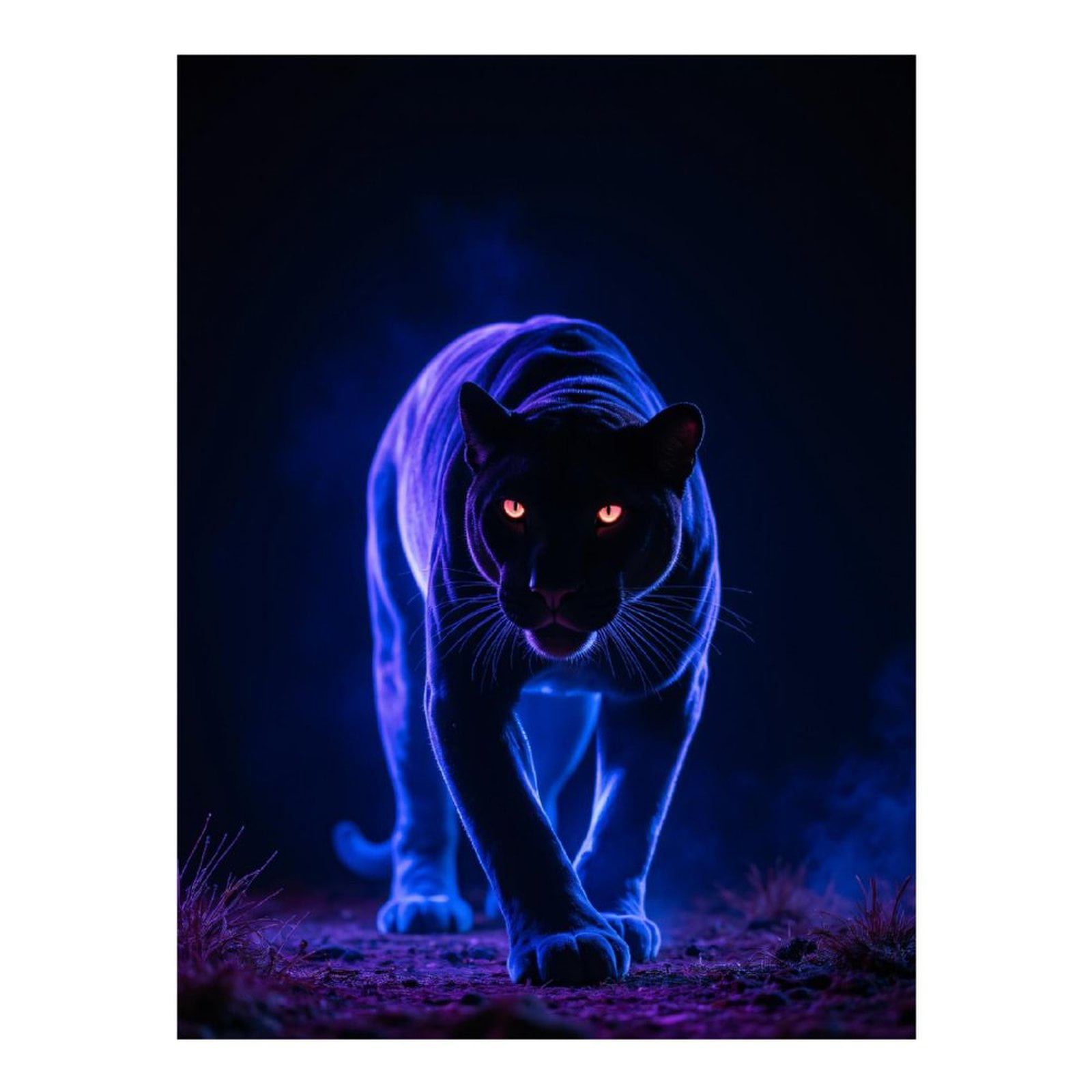 Diamond Art Kit for Adults, Neon Panther Night Stroll Diamond Painting ...