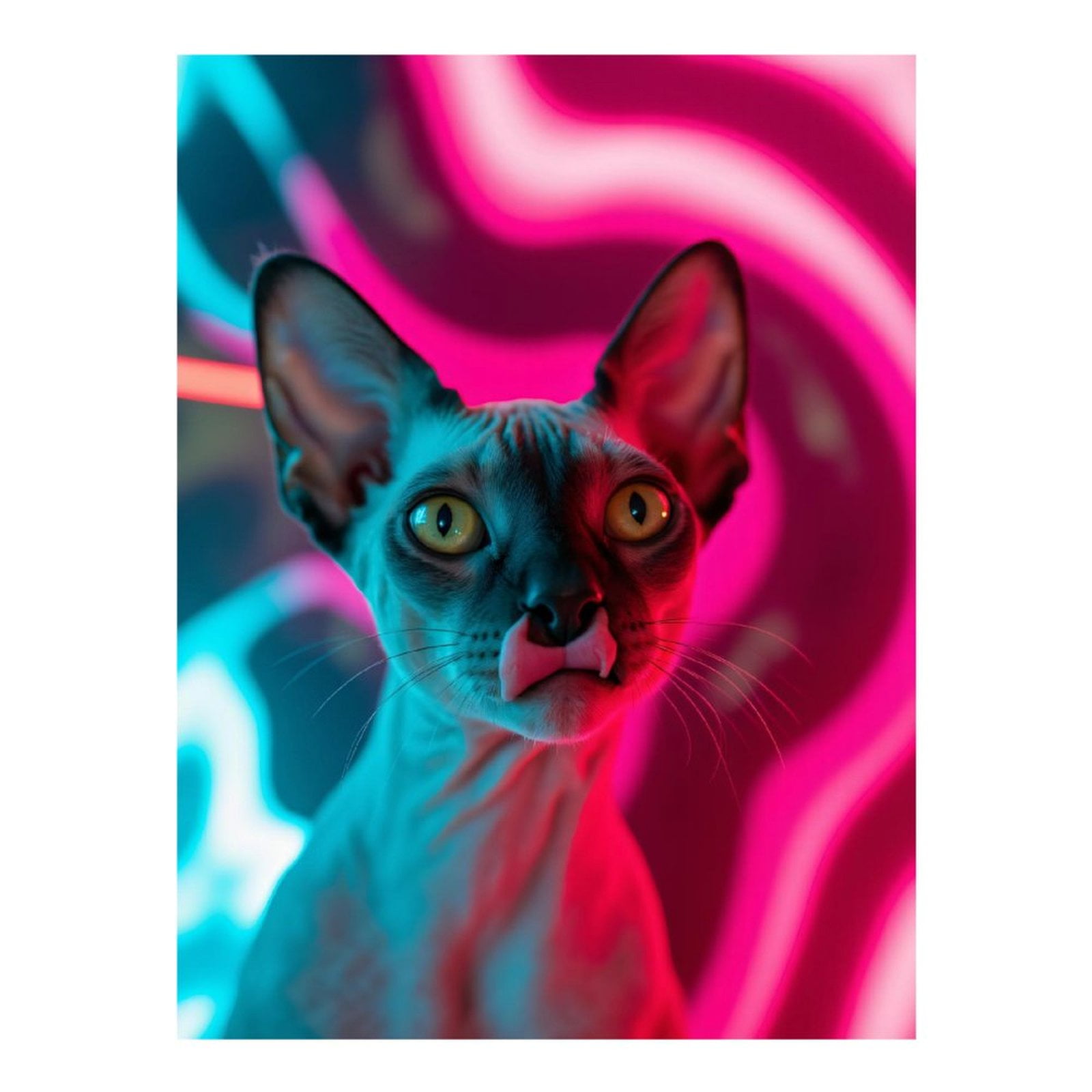 Diamond Art Kit for Adults, Neon Sphynx Cat Portrait Art Diamond ...