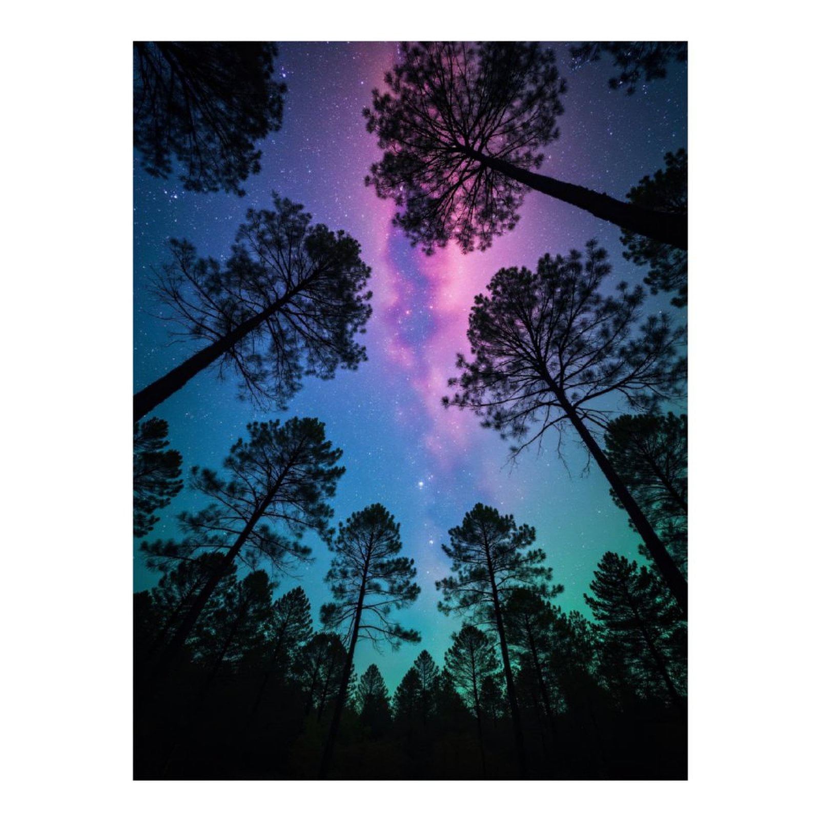 Diamond Art Kit for Adults, Night Sky Forest Silhouette Starlight ...