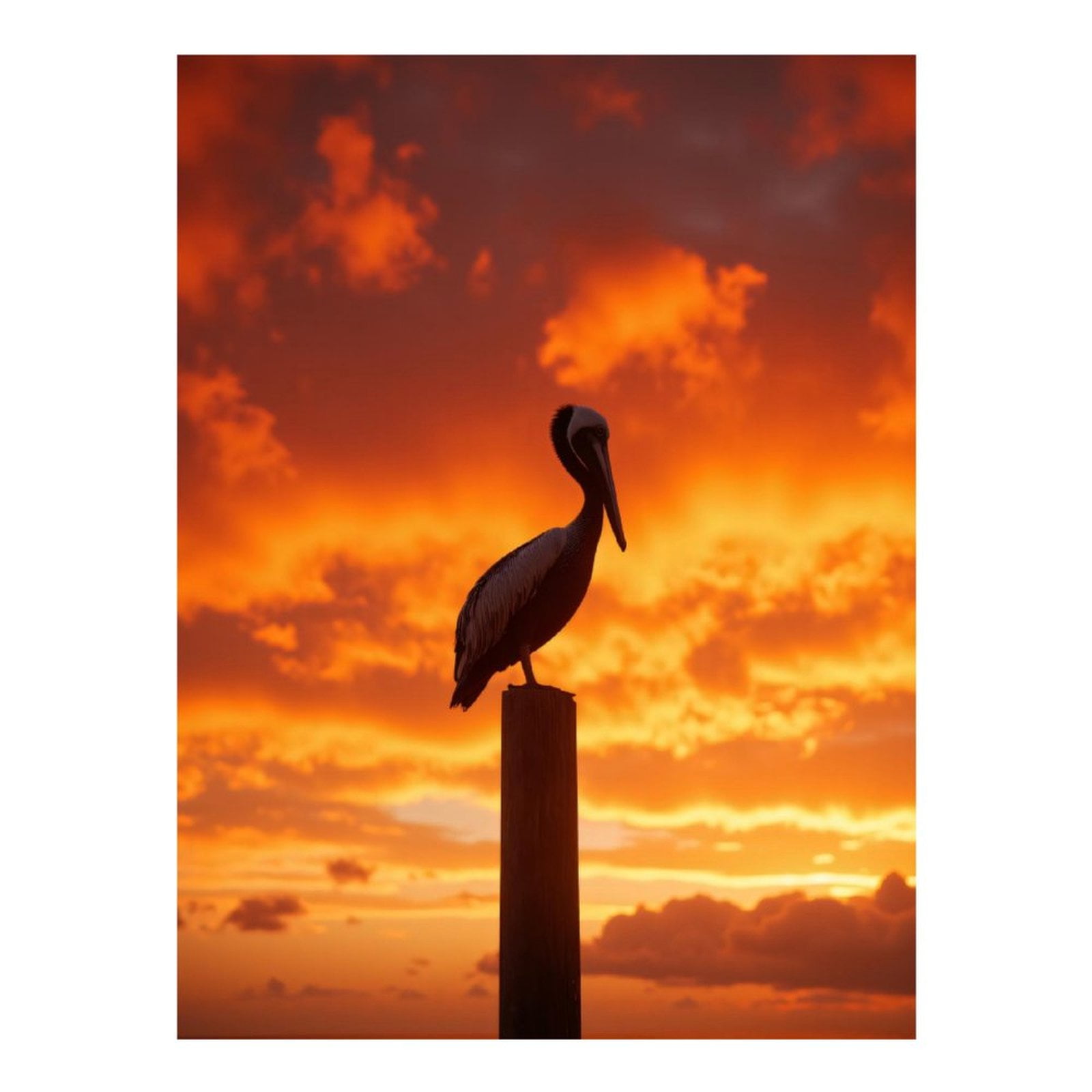 Diamond Art Kit for Adults, Pelican Silhouette Against Sunset Sky ...