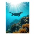 Diamond Art Kit for Adults, Sea Otter Gliding Over Coral Reef Diamond ...