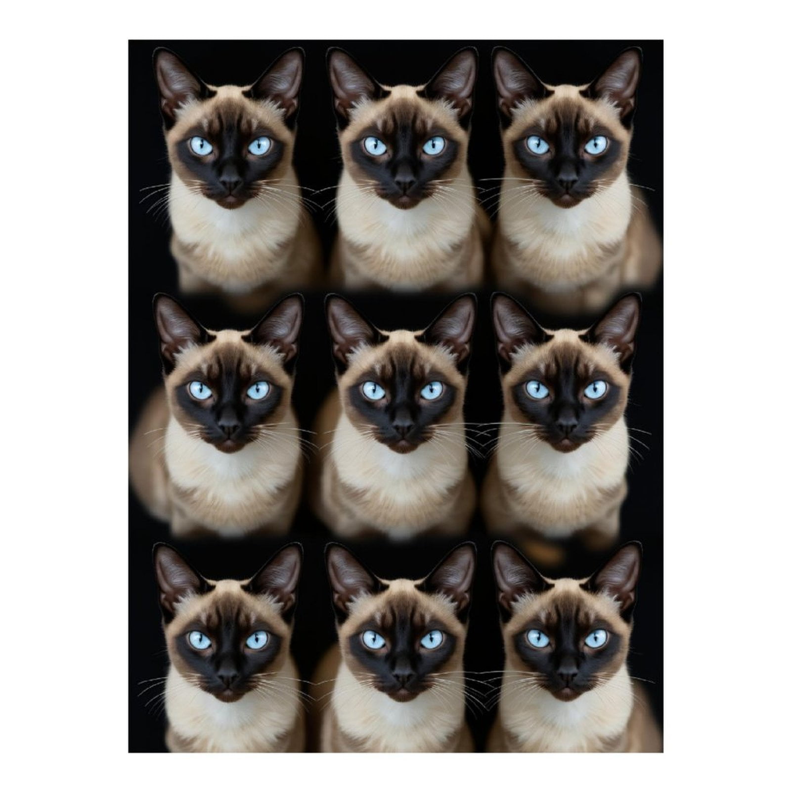 Diamond Art Kit for Adults, Siamese Cats Pattern Blue Eyes Diamond ...