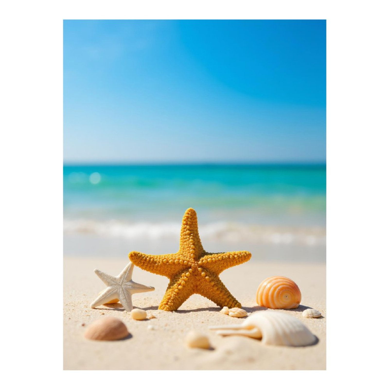 Diamond Art Kit for Adults, Starfish Beach Seashell Ocean Scene Diamond ...