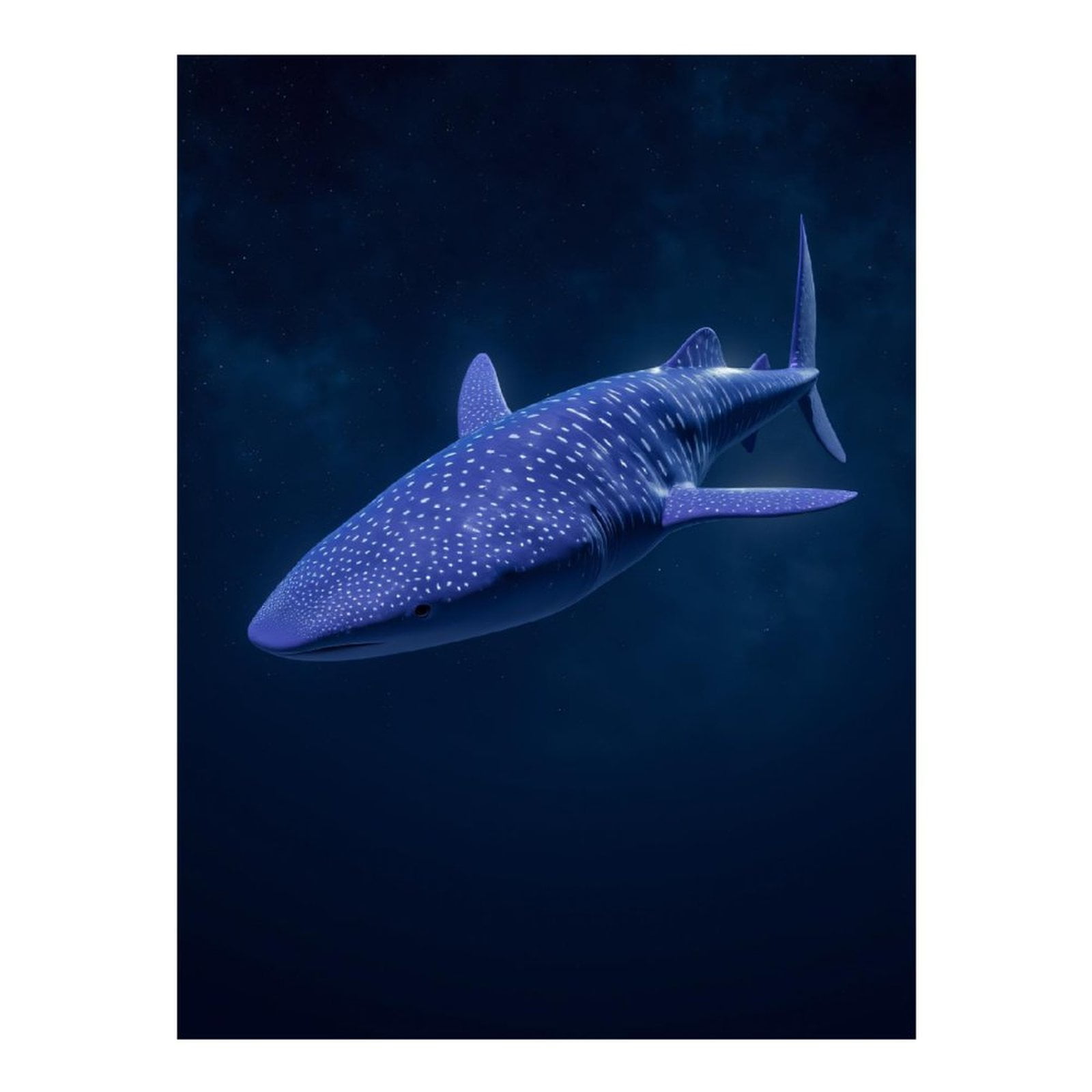 Diamond Art Kits for Adults - 5d Blue Spotted Ocean Giant Shark Diamond ...