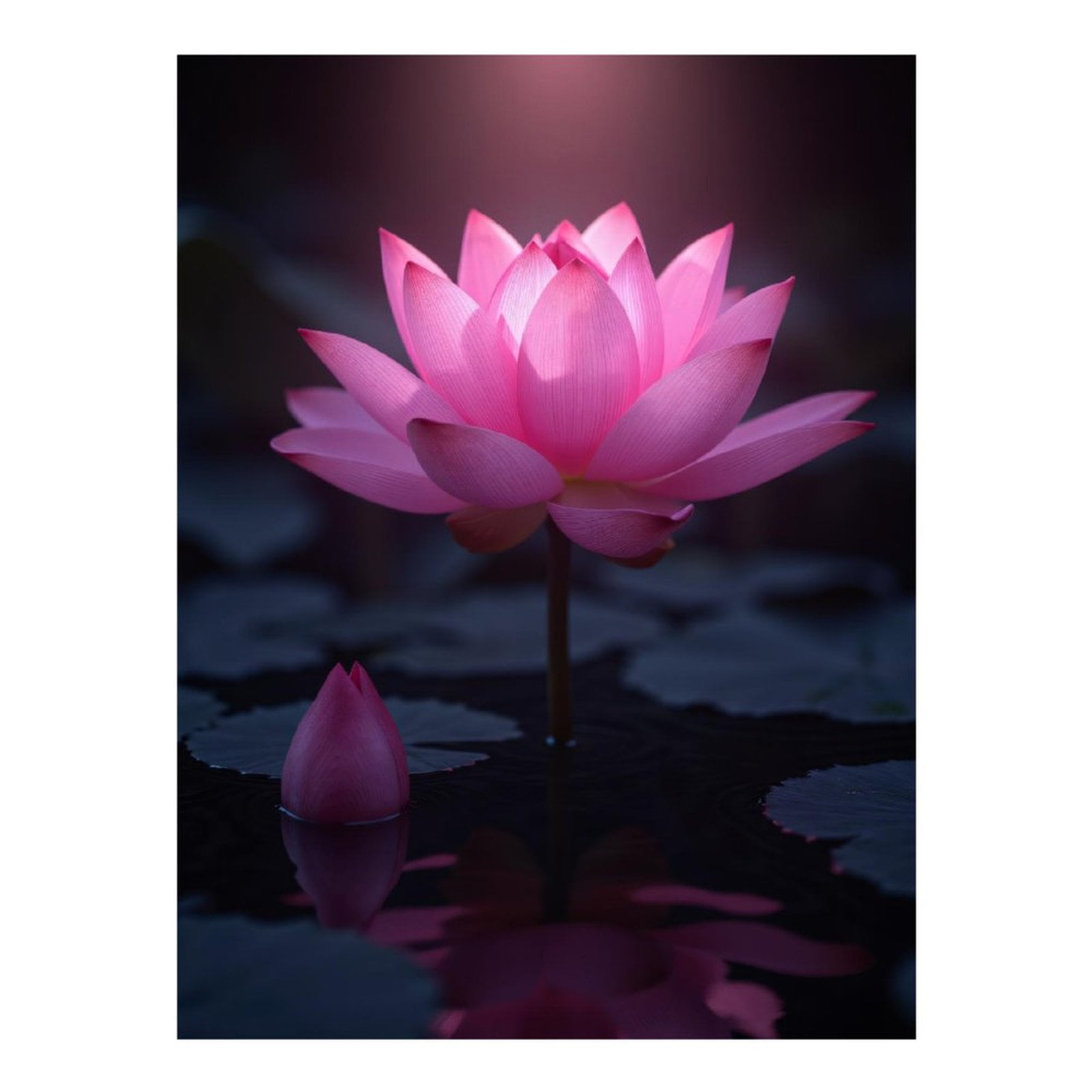 Diamond Art Kits for Adults - 5d Pink Lotus Blossoming In Water Diamond ...