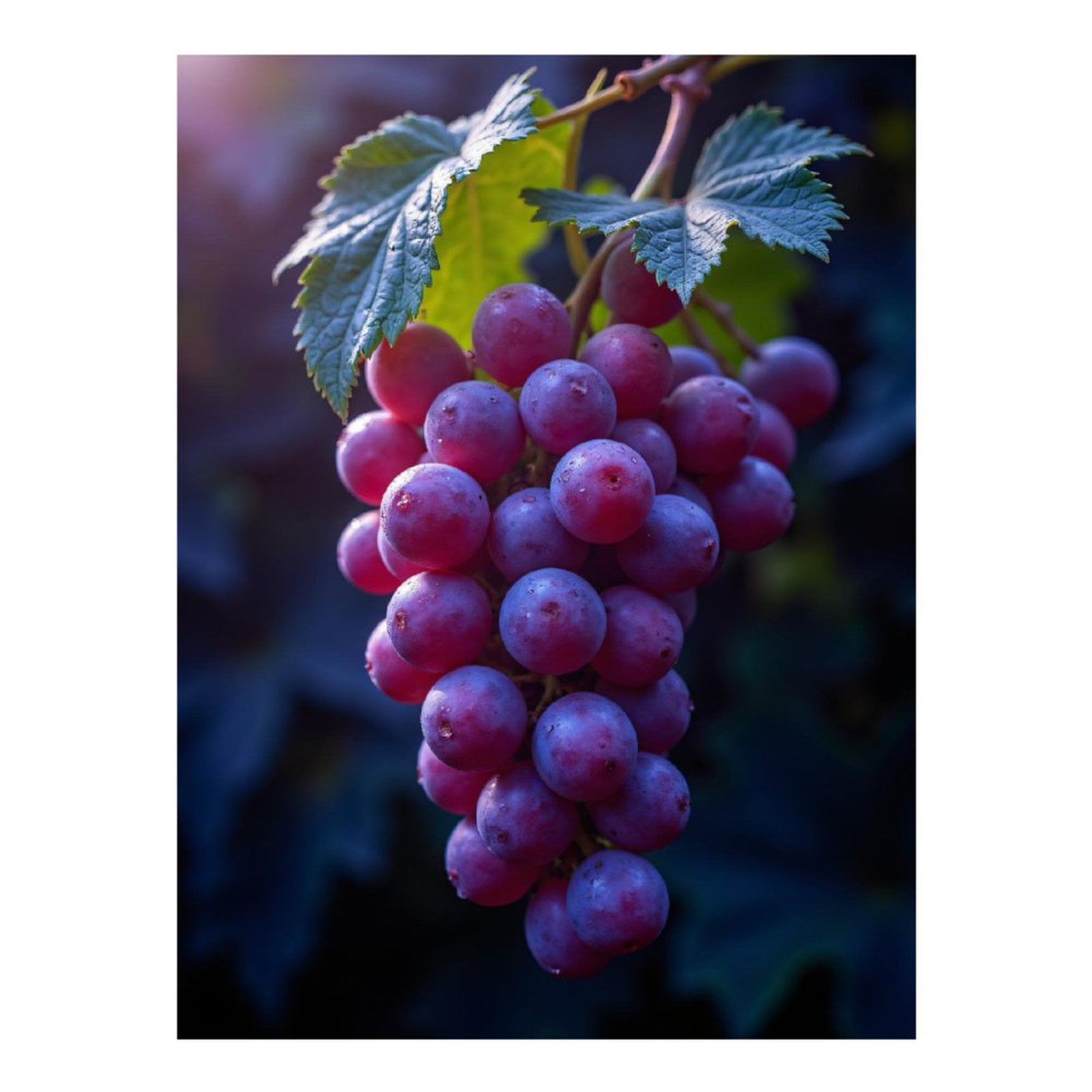 Diamond Art Kits for Adults - 5d Purple Grapes Vine Green Leaves ...