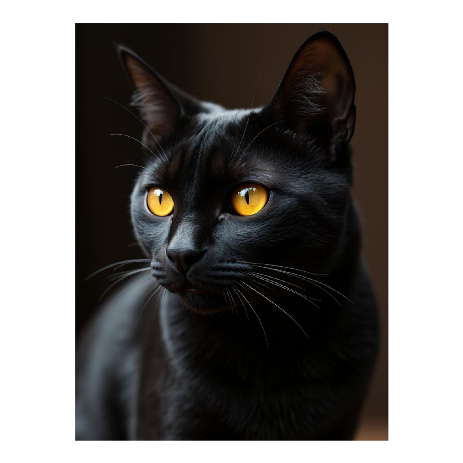 Diamond Art Kits for Adults - Black Cat Golden Eyes Portrait 5d Diamond ...