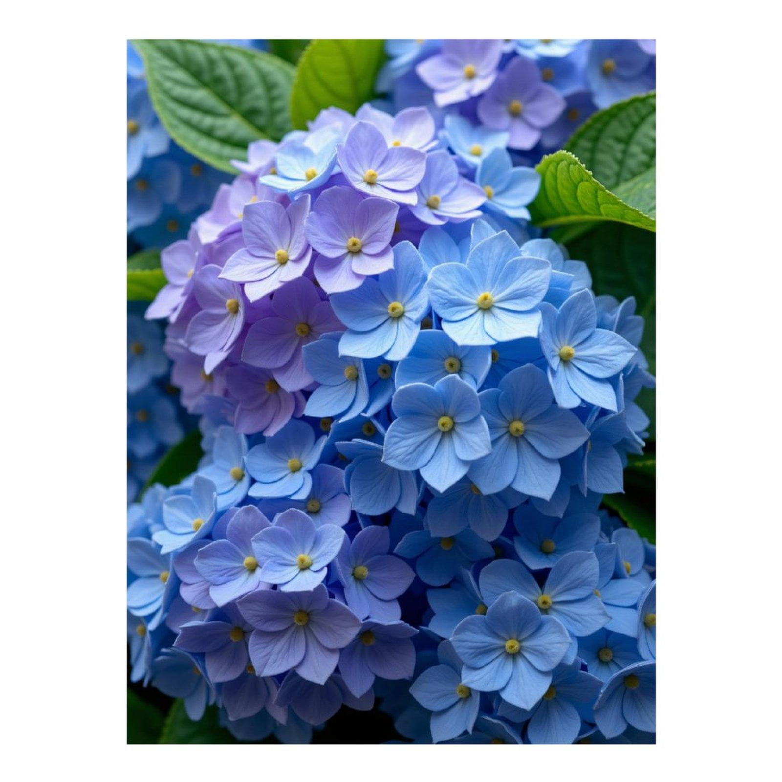 Diamond Art Kits for Adults - Blue Purple Blossoms Verdant Leaves 5d ...