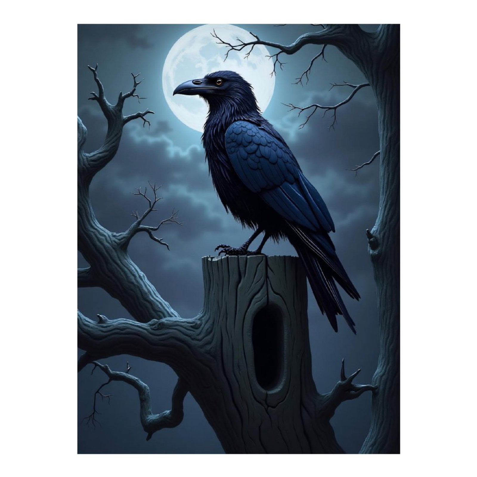 Diamond Art Kits for Adults - Cartoon Classic Crow Print No.17 5D ...