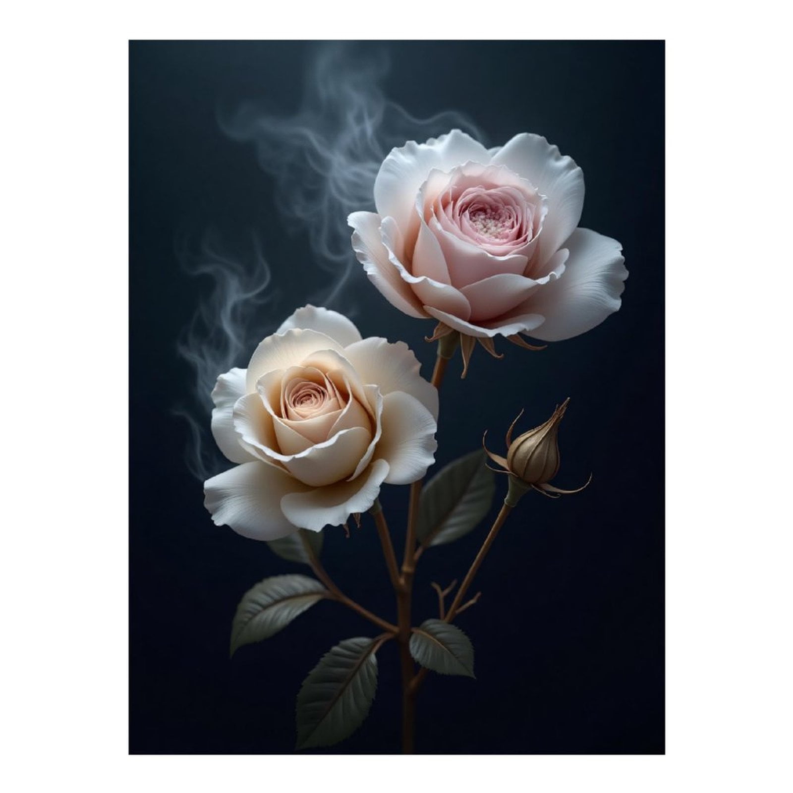 Diamond Art Kits for Adults - Classy Rose White Print No.890 5D Frameless Dimond Painting Kit ...