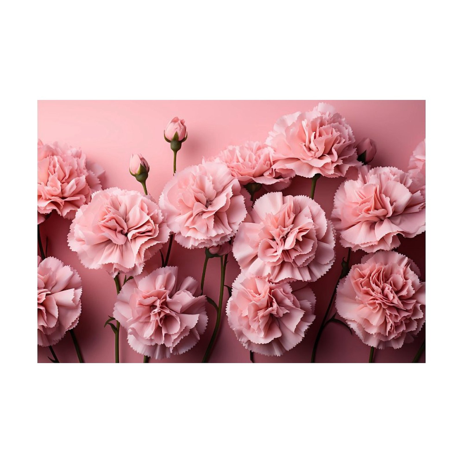 Diamond Art Kits for Adults, Delicate Pink CarnationsDiamond Painting ...