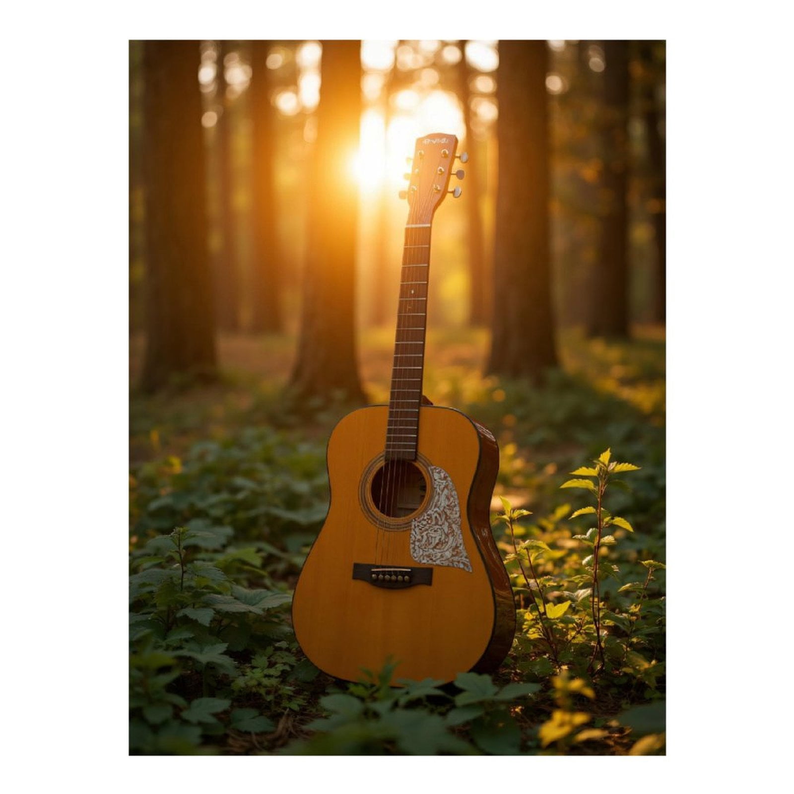 Diamond Art Kits for Adults, Guitar Forest Sunset Serenity 5D Diamond ...